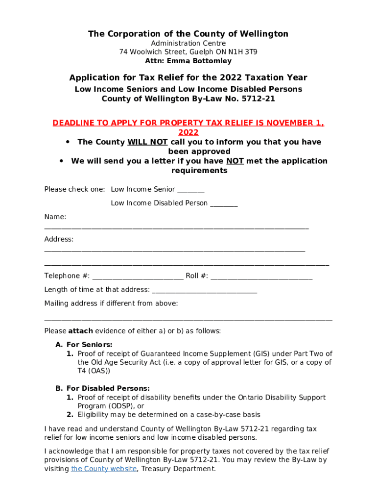 Application for Tax Relief for the 2022 Taxation Year Doc Template ...