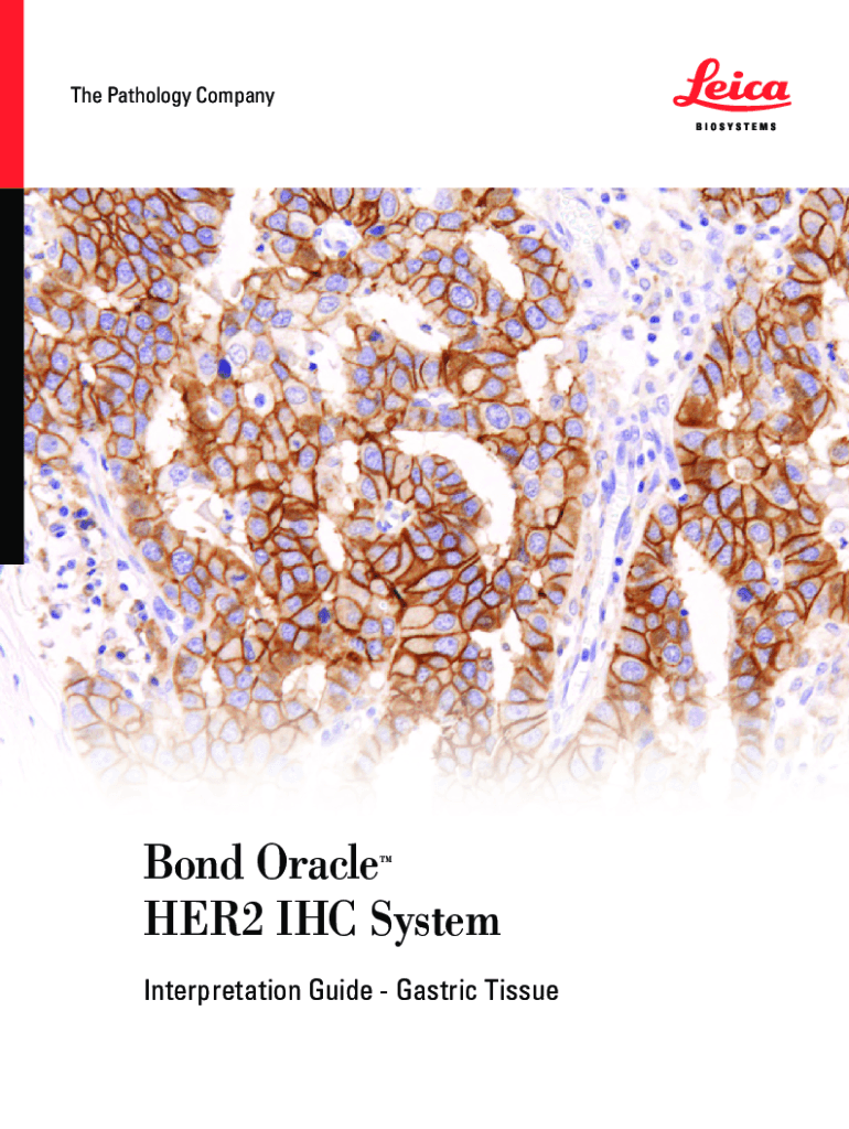 Fillable Online Validation of a fully automated HER2 staining kit in ...