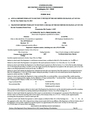 Fillable Online Form 10-K/A (Amendment No. 1) - Trio-Tech International ...