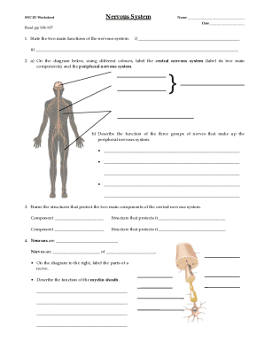 Fillable Online The Nervous System Activity SheetWorld Book Fax Email ...