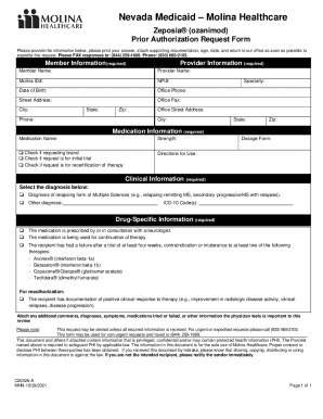 Fillable Online Molina Medicaid Prior Authorization Form Fax Email ...