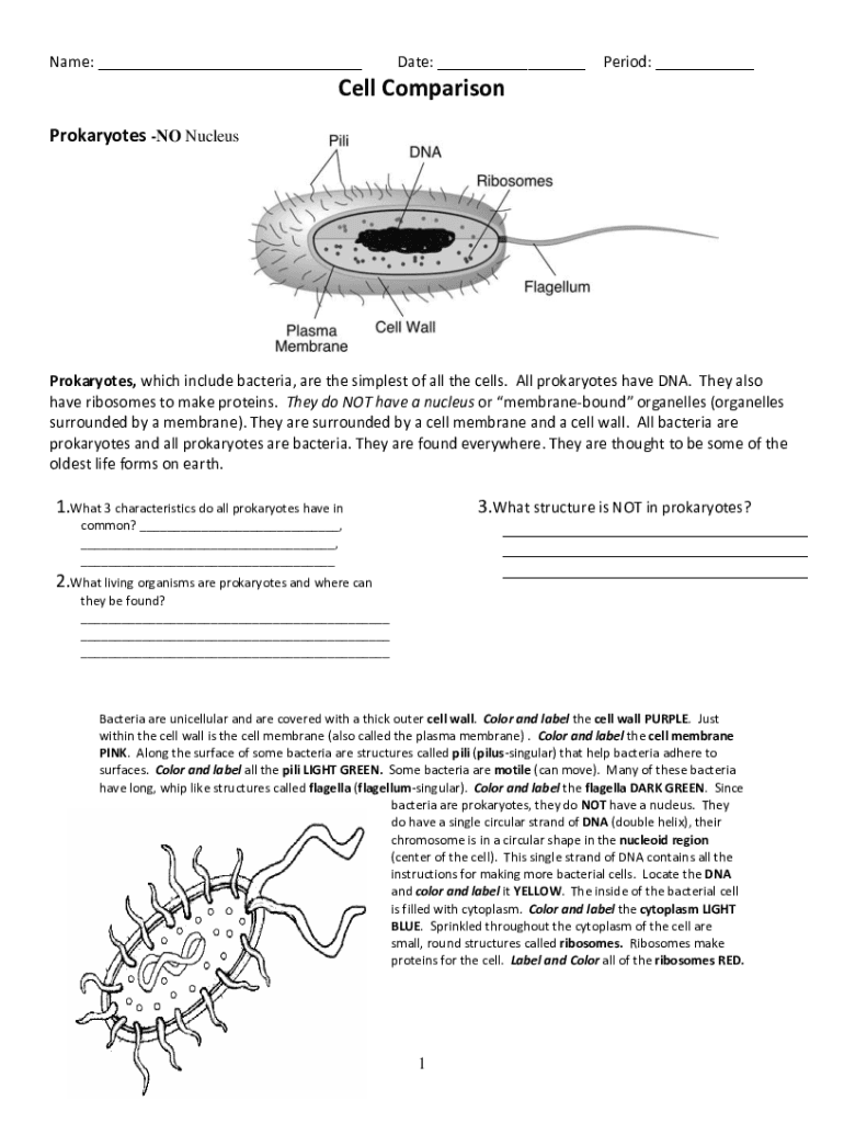 Fillable Online Bacteria and viruses worksheet with answers answer keys ...