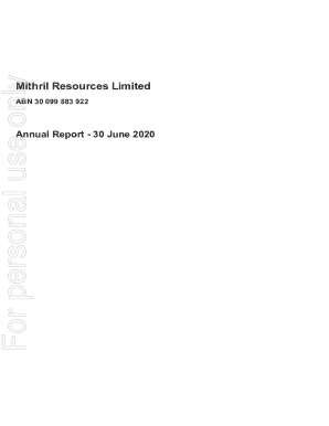 Fillable Online Directors' report Fax Email Print - pdfFiller