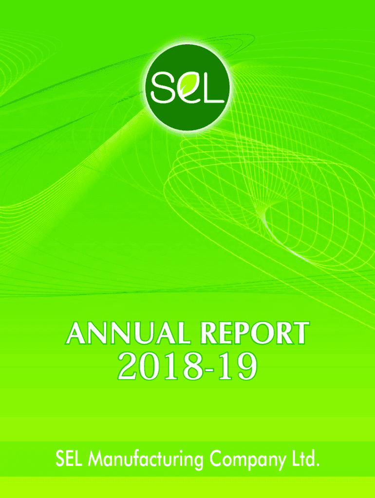Fillable Online SEL balance sheet 2015 - ReportJunction.com Fax Email ...