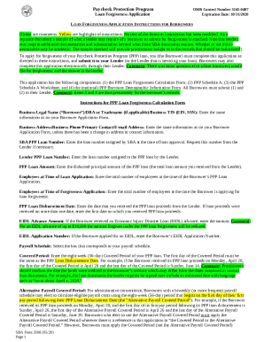 PPP Loan Forgiveness Application Walk through 3508 Doc Template | pdfFiller
