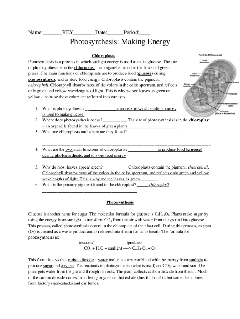 Fillable Online Worksheet: Photosynthesis and Cellular Respiration Fax Email Print - pdfFiller