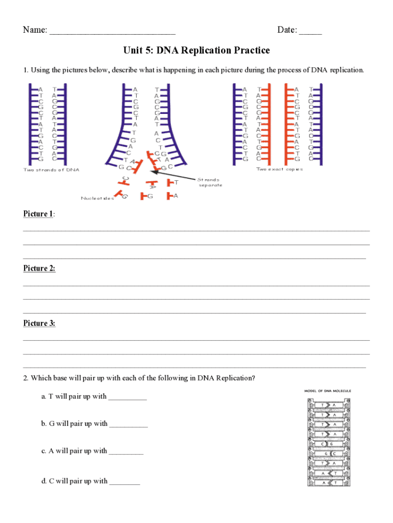 Fillable Online 9.1 The Structure of DNAConcepts of Biology Fax Email ...