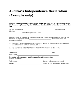 auditor's independence declaration to the directors of ... Doc Template ...