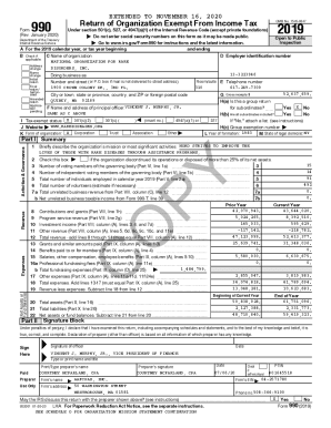 Fillable Online 2019-Form-990-Open-to-Public-Inspection.pdf Fax Email ...