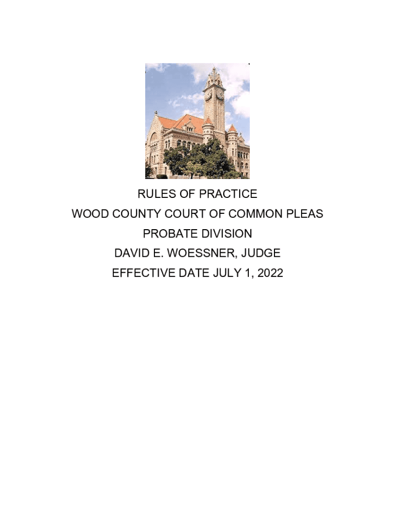 Fillable Online Judge David E. Woessner for Wood County Court ...