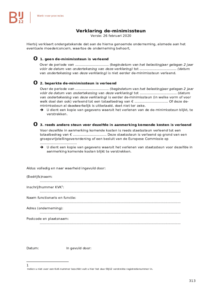 Verklaring de-minimissteun - Repository Doc Template | pdfFiller