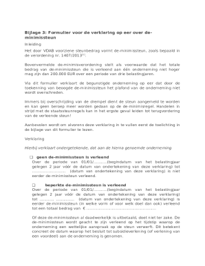 Model verklaring op eer de-minimis - Vlaamse overheid Doc Template ...