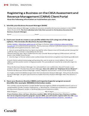 Fillable Online CARM: CBSA Assessment and Revenue Management project ...
