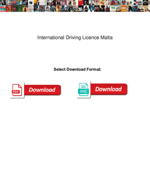 Fillable Online International Driving Licence Malta. International ...