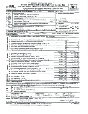Fillable Online IRS Form 990 FY19 - CDC Foundation Fax Email Print ...