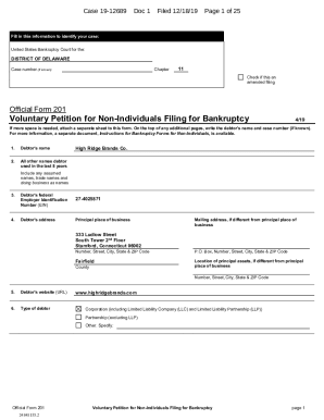 Fillable Online Bankruptcy Petition - Fill Online, Printable, Fillable ...
