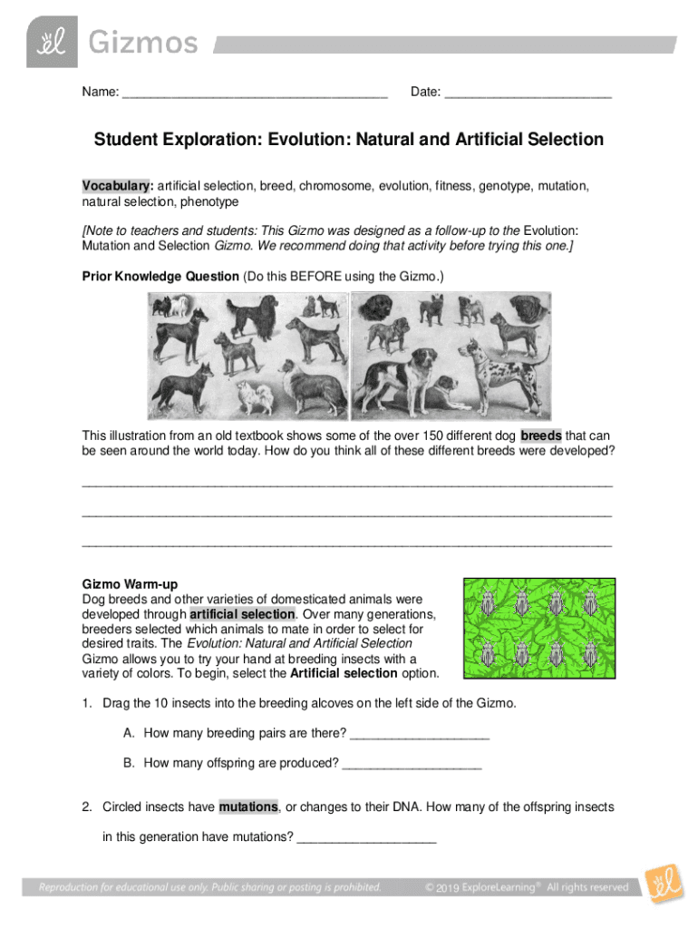 Fillable Online Evolution worksheet answers Fax Email Print - pdfFiller
