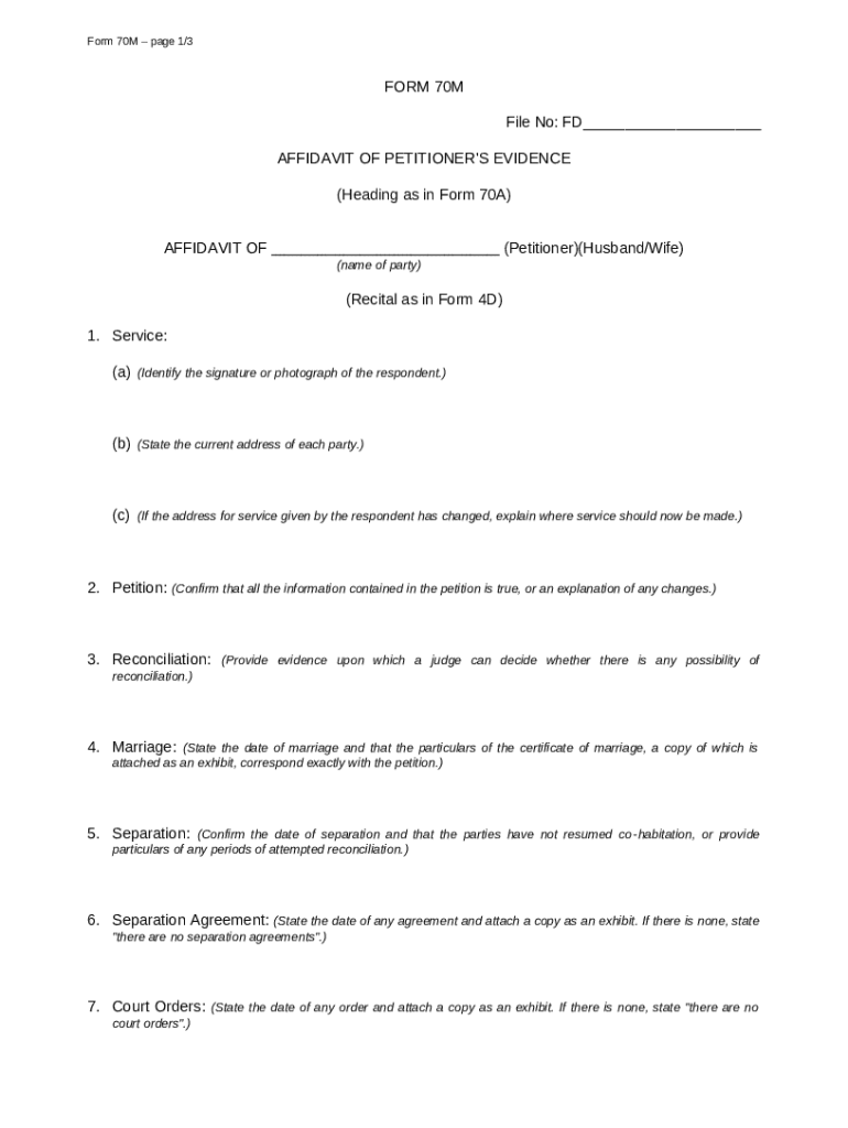 70M: Affidavit of Petitioner's Evidence Doc Template | pdfFiller