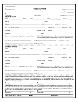 Fillable Online Joint Credit Cards: How to Share a Credit Card ...