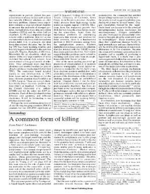 Fillable Online A common form of killing Fax Email Print - pdfFiller