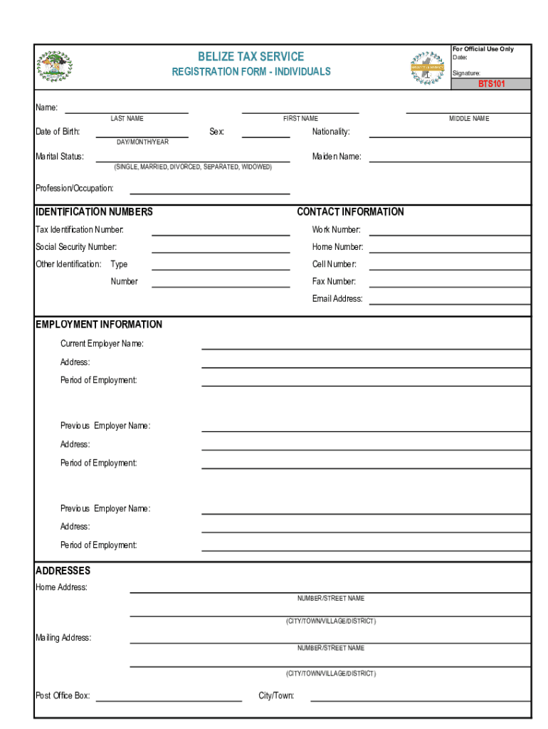 Belize Tax Service Registration Form - Blank Fillable Template | Fill ...