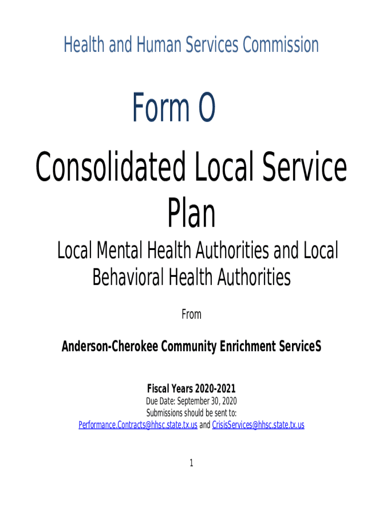 Local Services and Needs - ACCESS Doc Template | pdfFiller