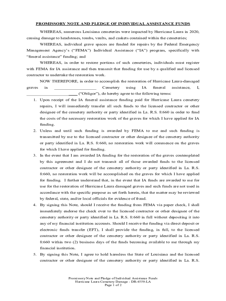 Fillable Online promissory note and pledge of individual assistance ...