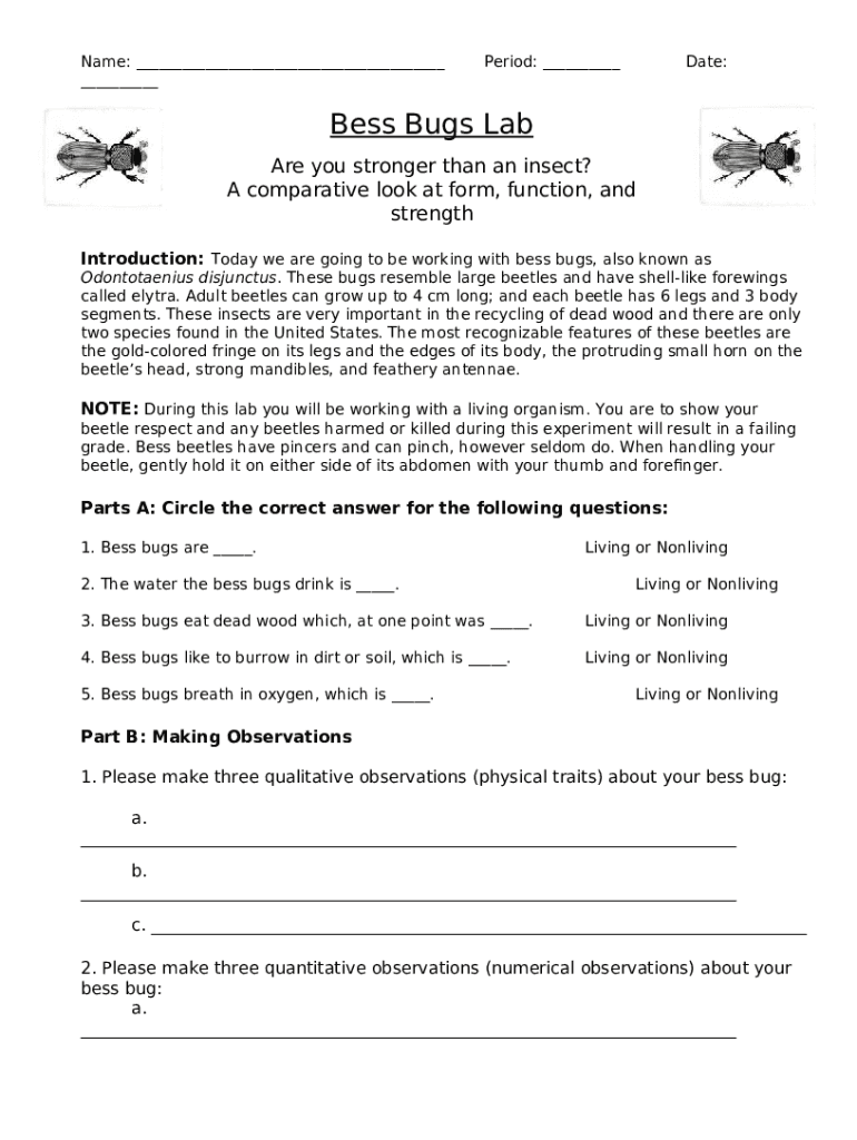 BESS BUG PRE-LAB QUESTIONS Doc Template | pdfFiller