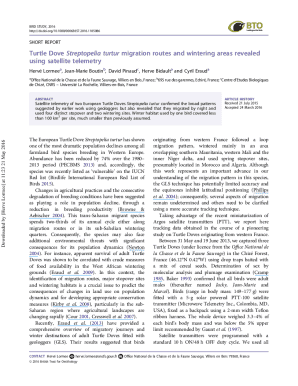 Fillable Online Turtle Dove Streptopelia turtur migration routes and ...