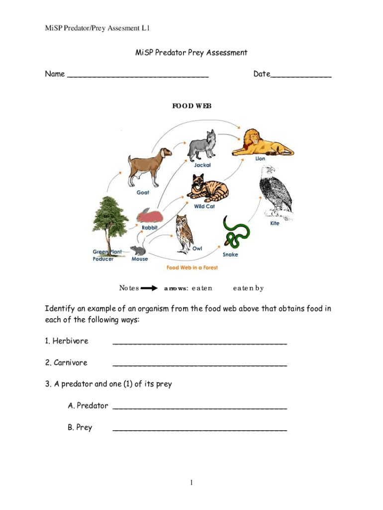 Fillable Online Worksheet: Food Webs ES-LS2.A-1a - Free Games and ...