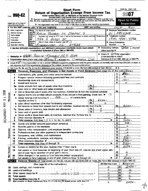 Fillable Online 2021 Form 199: California Exempt Organization Annual ...