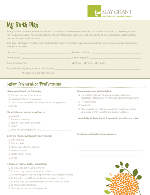 Fillable Online How to Create YOUR Perfect Birth Plan (Includes ...
