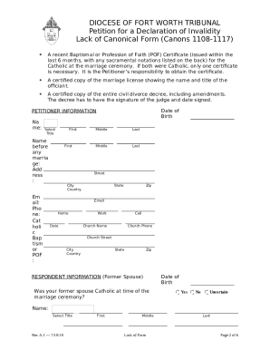 ANNULMENT APPLICATION Doc Template | pdfFiller