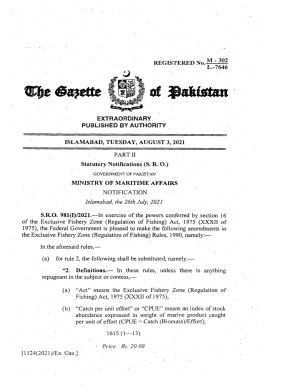 Fillable Online Government of Pakistan - Finance Division - (Budget ...