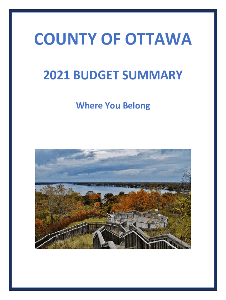 Fillable Online Budget and Salary/Compensation Transparency Reporting ...