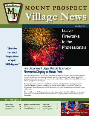 Fillable Online 13 Tips for Safely Lighting Off Fireworks this ...