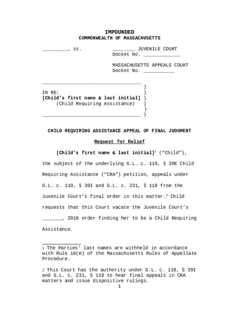 Criminal Docketing Statement Doc Template | pdfFiller