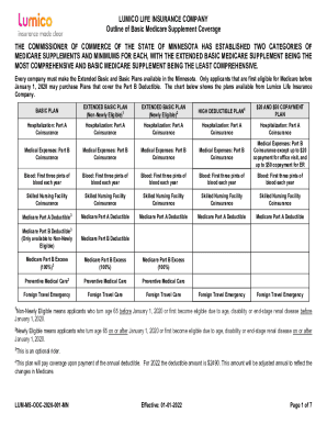 Fillable Online Lumico Life Insurance Company Outline of Basic Medicare ...