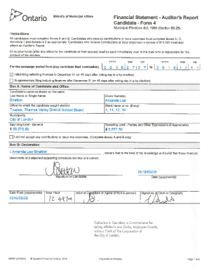 Fillable Online Financial Statement - Form 4 Fax Email Print - pdfFiller