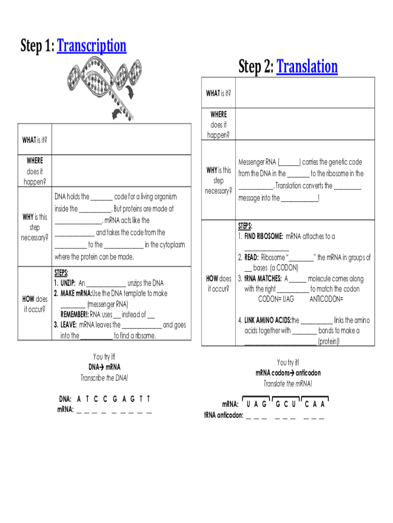 Fillable Online Steps of Genetic TranscriptionBiology for Majors I Fax Email Print - pdfFiller