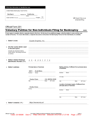 Fillable Online (Official Form 1) (10/06)(PSK Special) - Stretto Fax ...