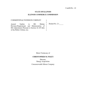 Fillable Online ComEd Ex. 1.0 Annual Update to DG Rebate Revenue ...