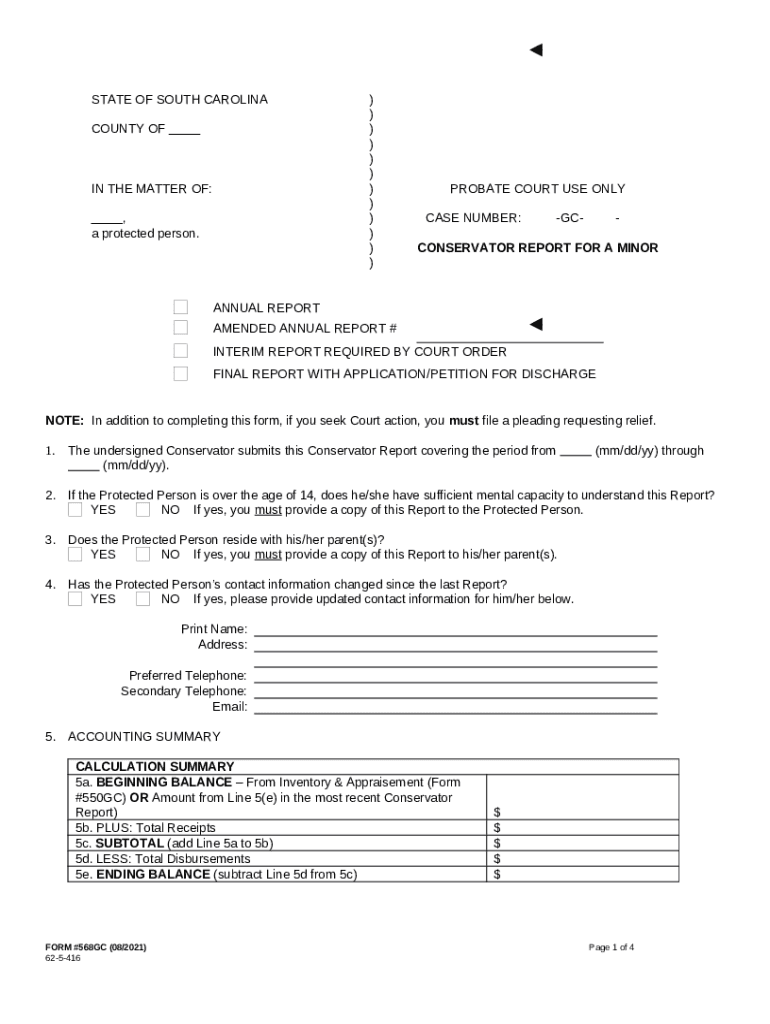 conservator report for a minor - Horry County Government Doc Template | pdfFiller