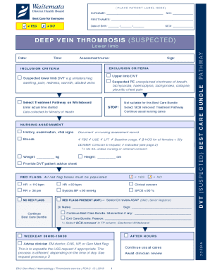 Fillable Online DVT Best Care Bundle pathway 12 Fax Email Print - pdfFiller
