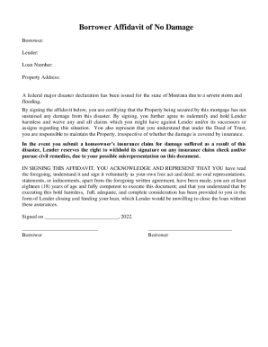 Fillable Online Affidavit of No Damage and Hold Harmless Agreement Fax ...