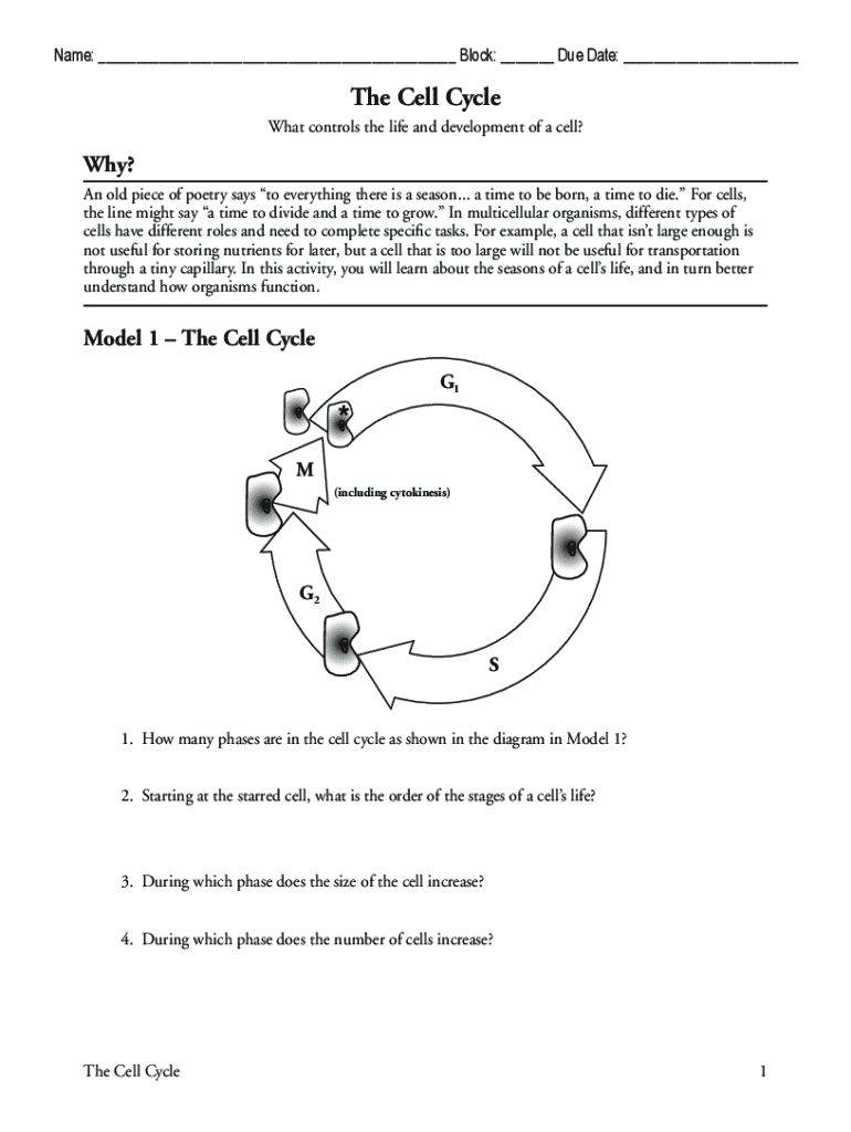 Fillable Online AP BIOLOGY POGIL - The Cell Cycle Questions with ...