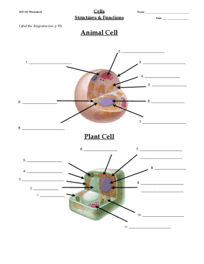 Fillable Online 1.b Cell Structure Worksheet - SNC2D BIOLOGY: PLANT ...