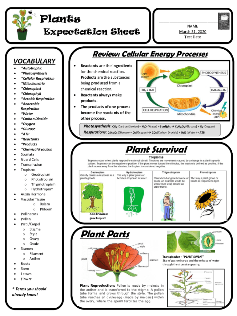 Fillable Online Expectation Sheet Fax Email Print - pdfFiller