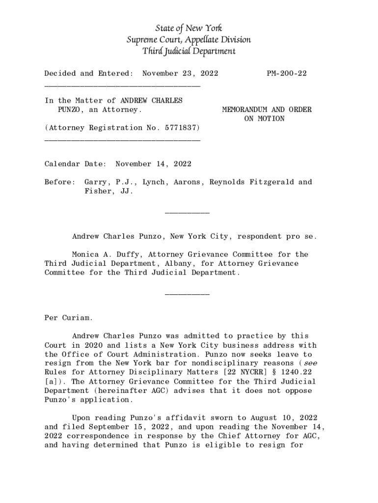 Fillable Online decisions courts state ny Matter of Andrew Charles Punzo - PM-200-22 Fax Email ...
