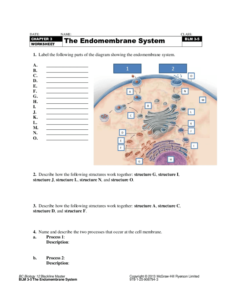 Fillable Online The Endomembrane SystemFunctions & Components Fax Email Print - pdfFiller